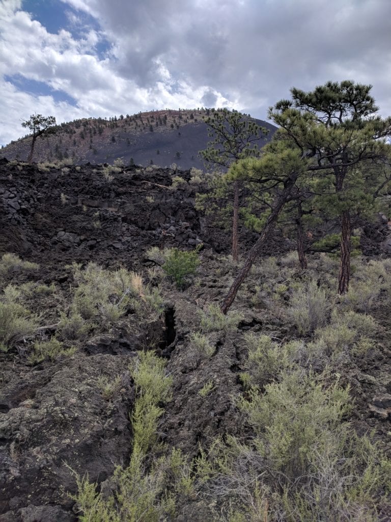 Travel to Flagstaff - Phoenix Relocation Source