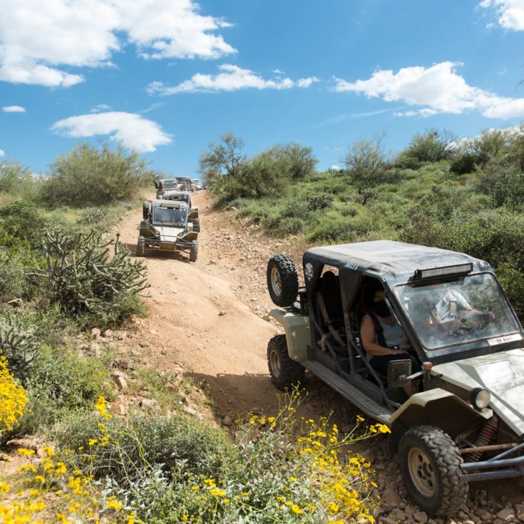 Phoenix Relocation Source | Free Phoenix Home Buying Guide